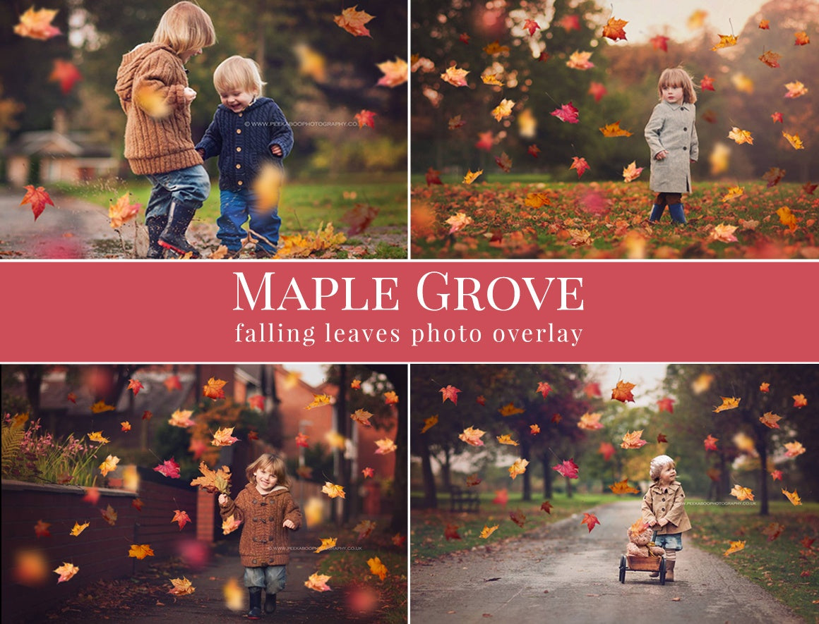 Maple Falling Leaves Photo Overlays for Photographers – brown-leopard.com