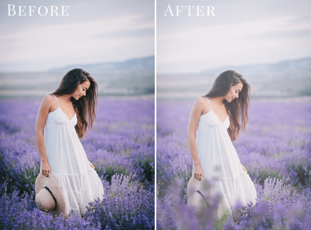 French Lavender photo overlays
