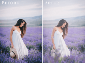 French Lavender photo overlays